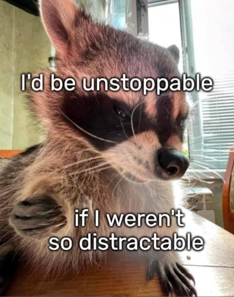 The best Focus memes :) Memedroid