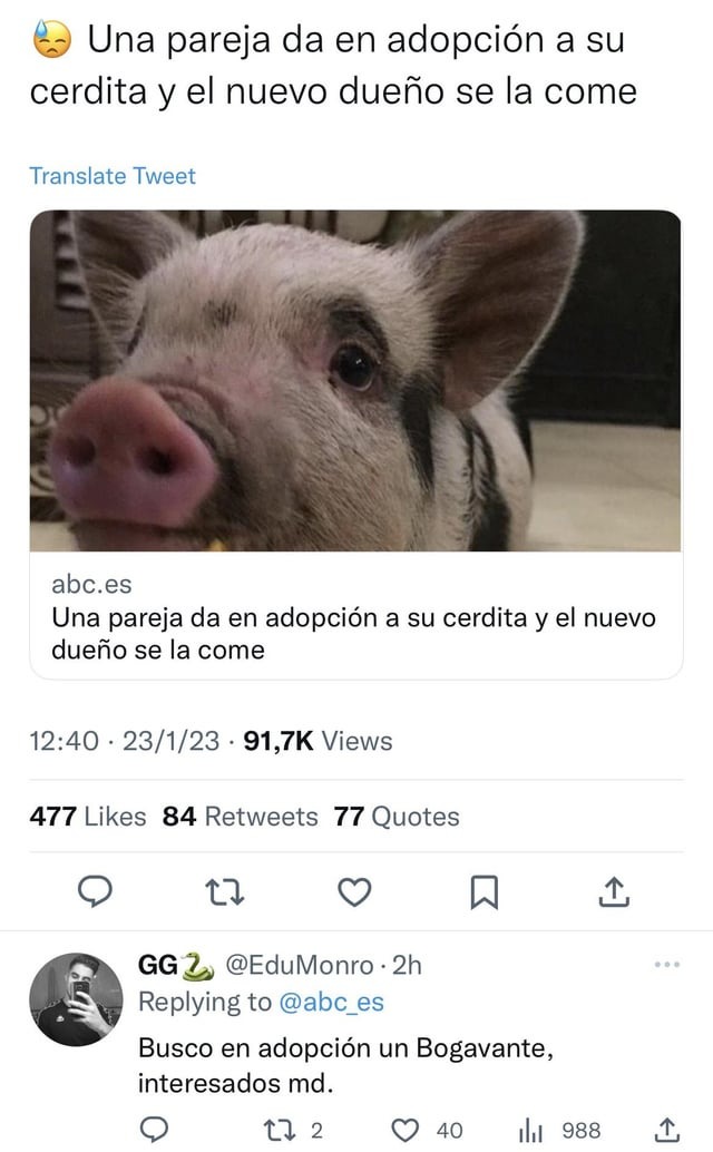 Noticia de un cerdito de mascota - Meme subido por caprianwar :) Memedroid
