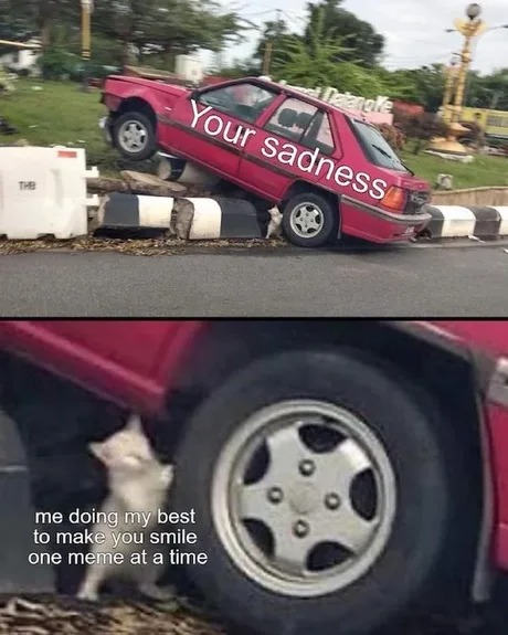 Doing our best - Meme by roawesome :) Memedroid