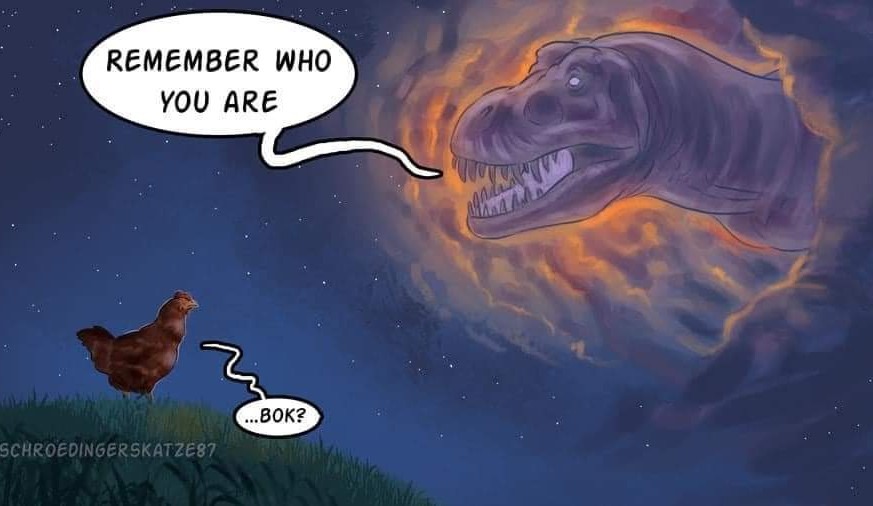 The Latest Memes :) Memedroid