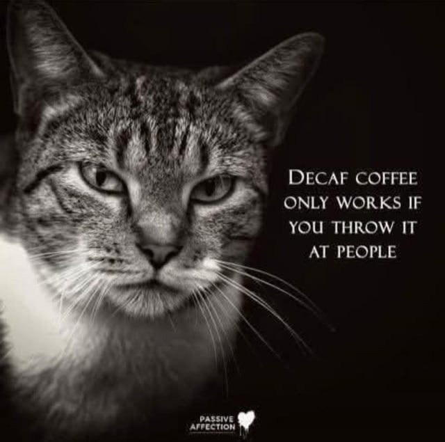 The Funniest Coffee Memes Are Right Here!!