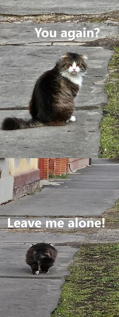 Latest memes / New memes :) Memedroid