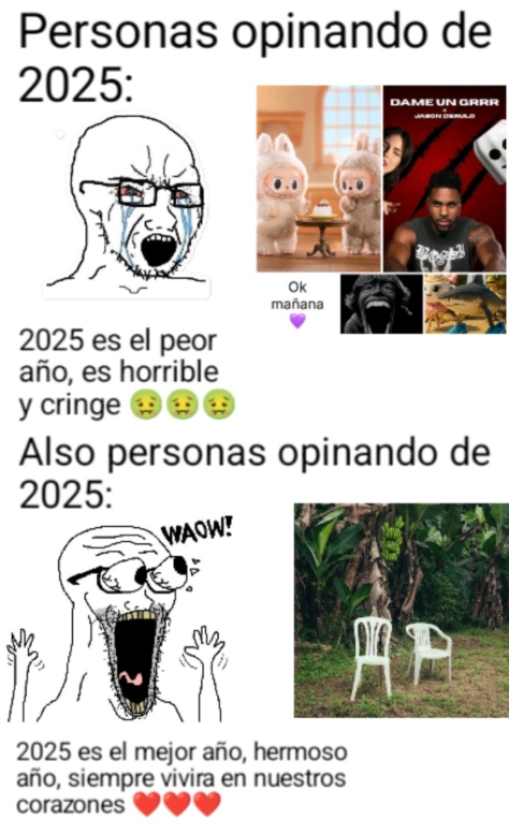 Los mejores memes del 2025 en español :) Memedroid