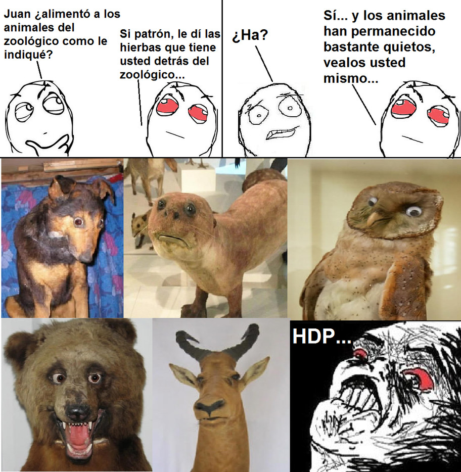 El heno estaba muy verde... - Meme subido por Oottaakkuu :) Memedroid