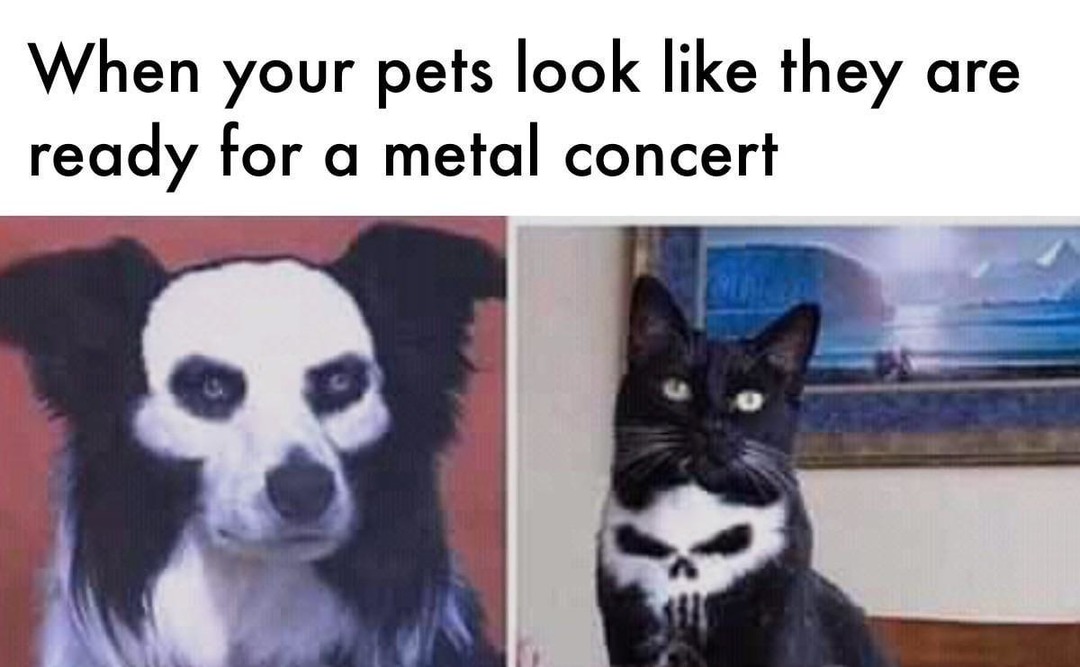 Metal Concert Memes Heavy Metal Memes Added A New Photo. Heavy Metal