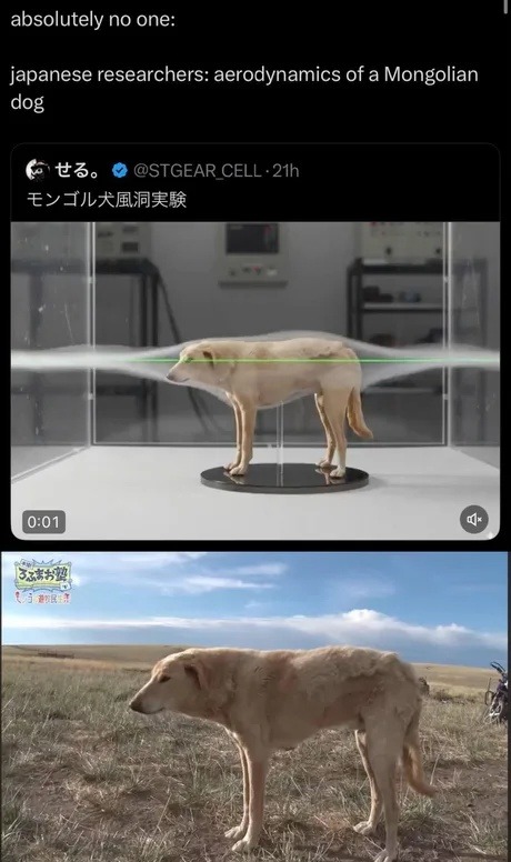 The Best Japan Memes :) Memedroid