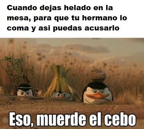 Top memes de eso muerde el cebo en español :) Memedroid