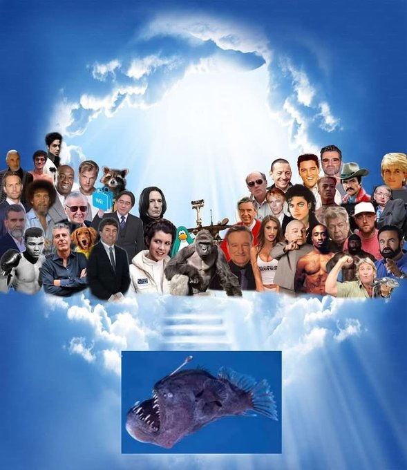 Los Últimos Memes :) Memedroid