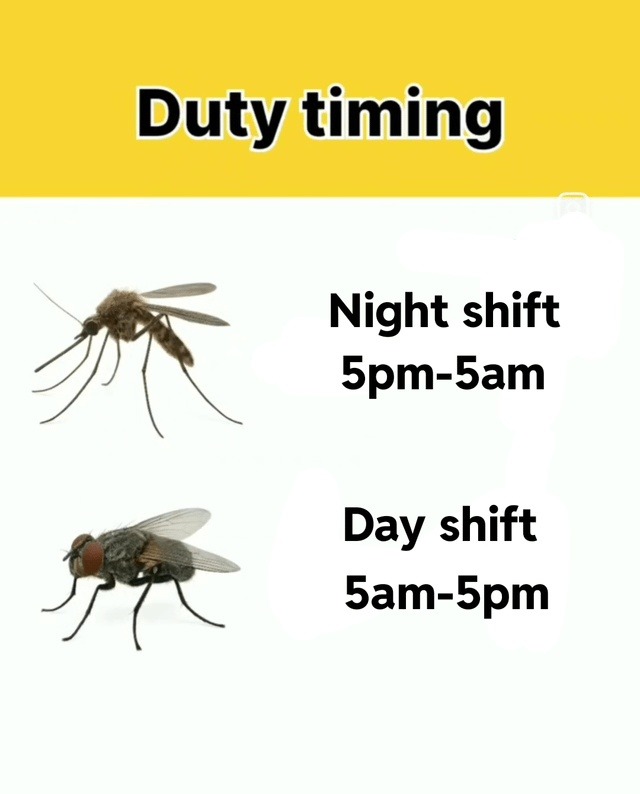 The best Shift memes :) Memedroid