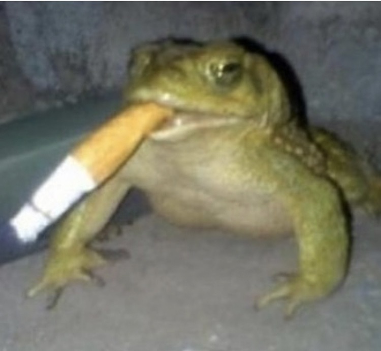 uhhh este pega más que las moscas - Meme subido por Jonásprogamer ...