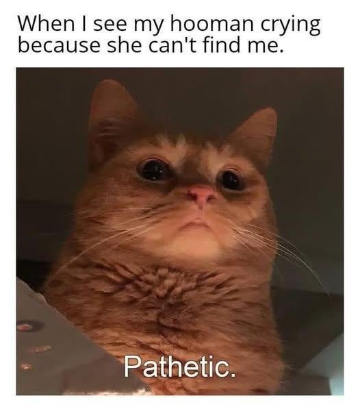 The best Hiding memes :) Memedroid