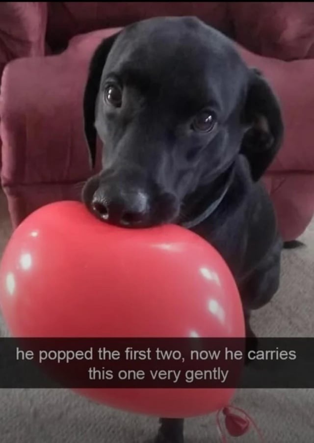 The best Balloon memes :) Memedroid