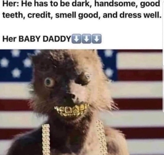 Latest memes / New memes :) Memedroid