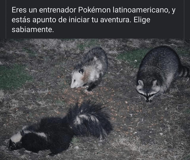 Elige tu pokemon pibe - Meme by Ochoa153 :) Memedroid