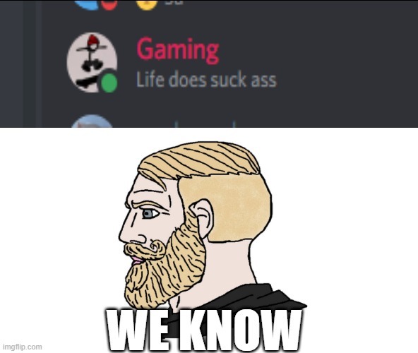 We Know Memes Ferb, I Know What We're Gonna Do Today Meme Generator