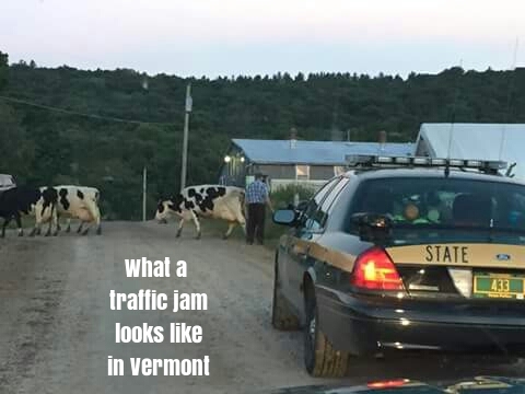 Small town life - Meme by Bucketman :) Memedroid