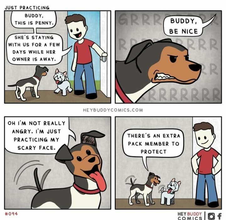 The Latest Memes :) Memedroid