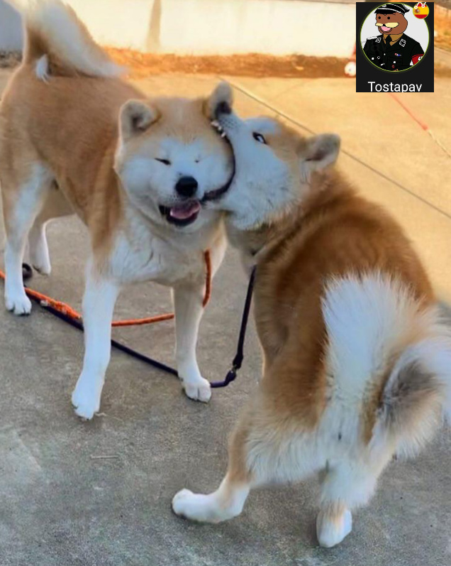 Territorio - Meme subido por Tostapav :) Memedroid