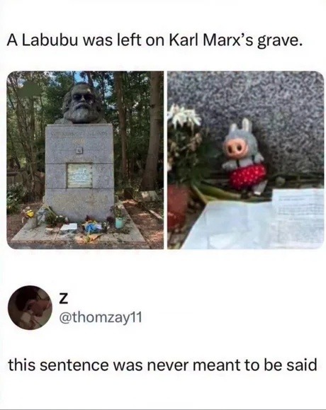 The best Labubu memes :) Memedroid