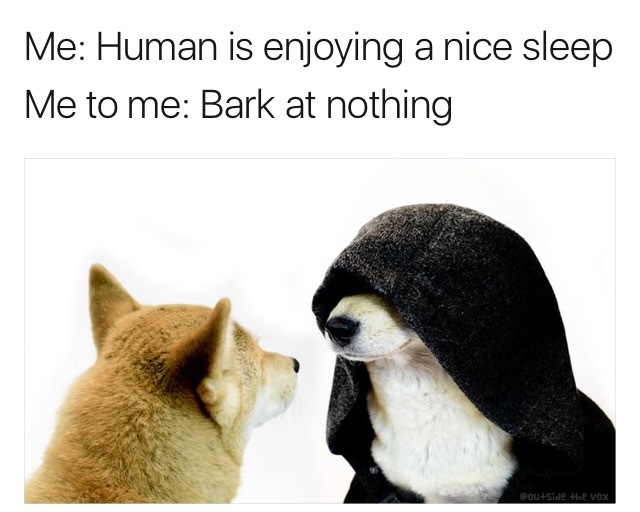 Bork bork - Meme by Lone_wolf69 :) Memedroid