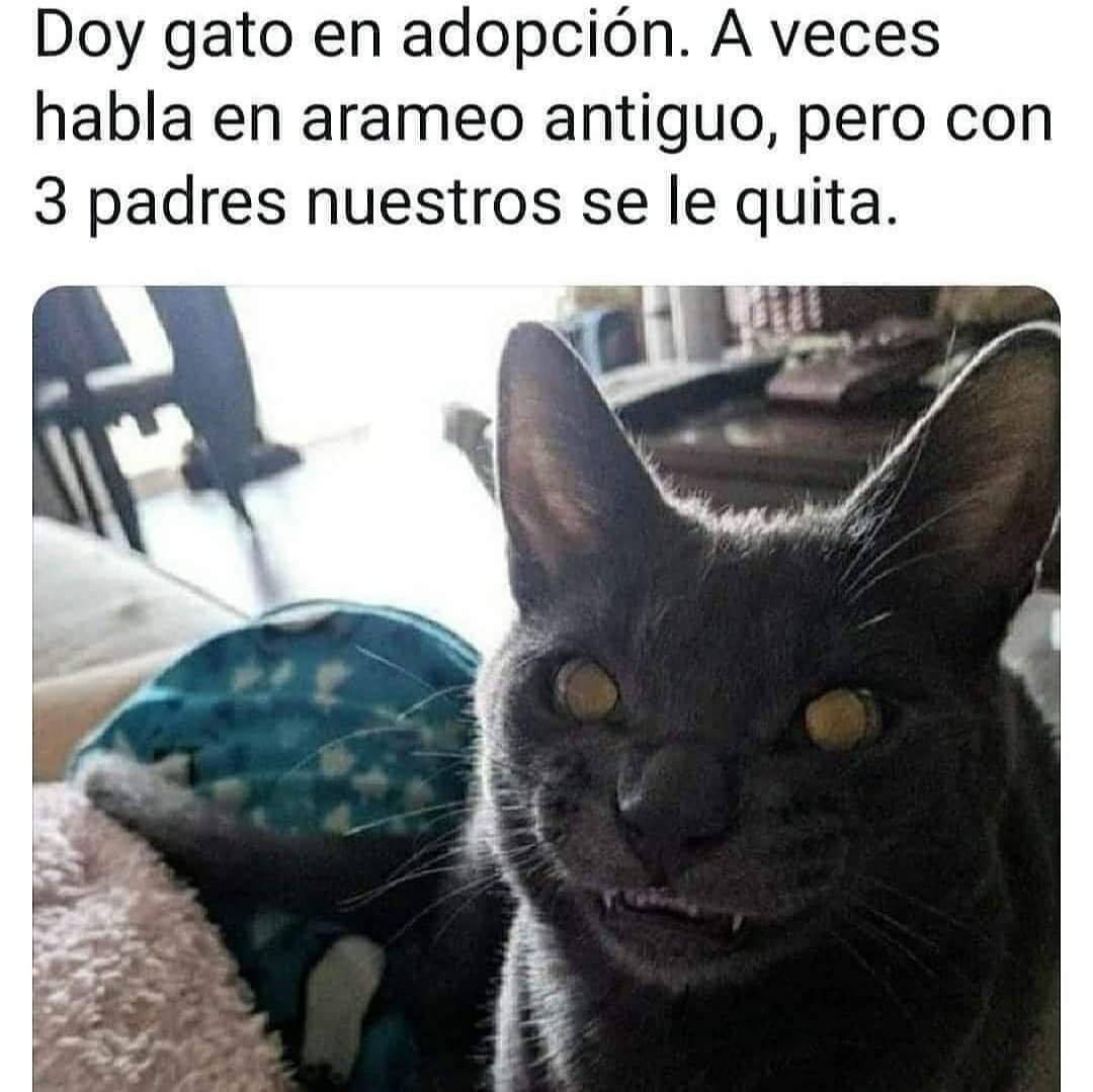 Da miedo - Meme subido por elTxo :) Memedroid