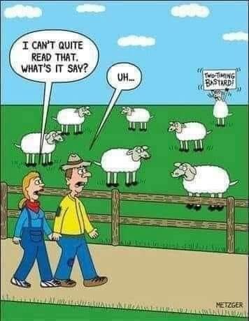 The Latest Memes :) Memedroid