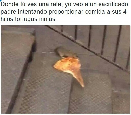 Splinter - Meme subido por Keko :) Memedroid