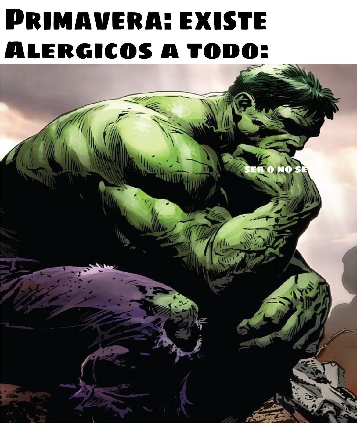 Ser o no ser? - Meme subido por Doge27_2 :) Memedroid