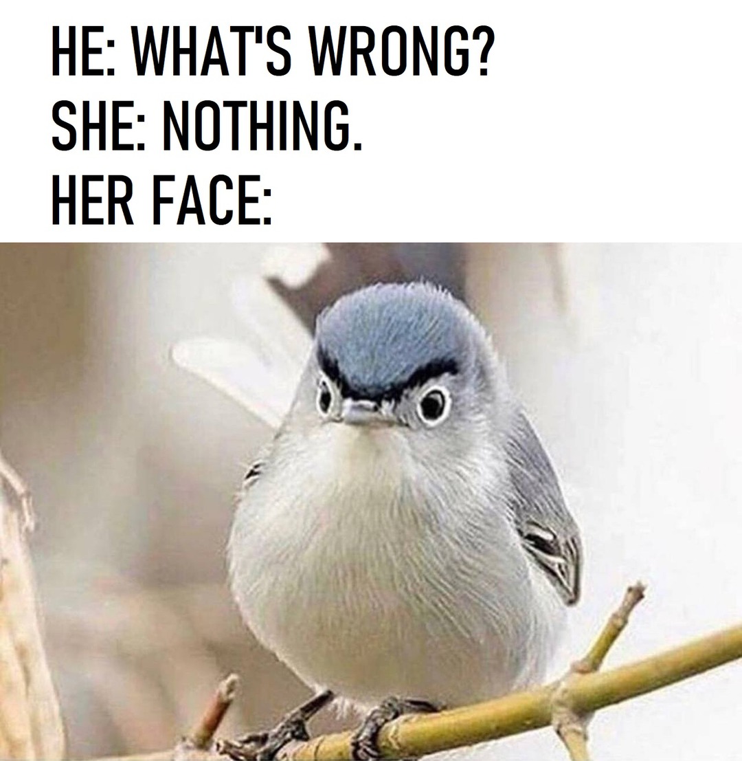 What's wrong? - Meme subido por schizoidman :) Memedroid