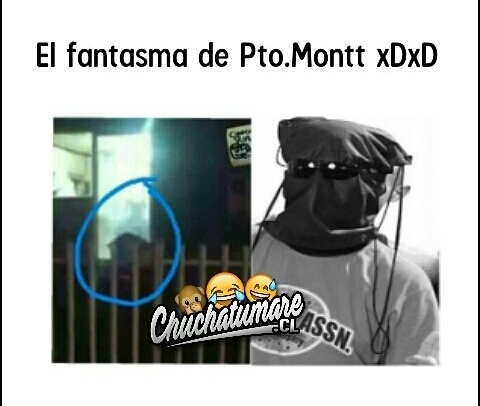 100% Real no Fake - Meme by TheDeathGame :) Memedroid