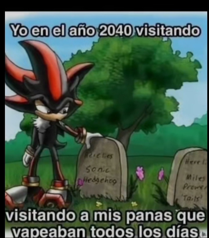 Top memes de Shadow en español :) Memedroid