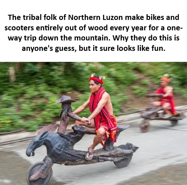 The best Philippines memes :) Memedroid