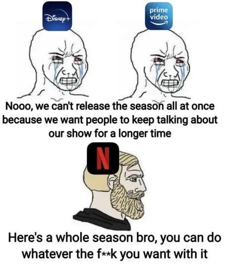 chadflix but no password sharing :( - Meme by 9-5Memer :) Memedroid