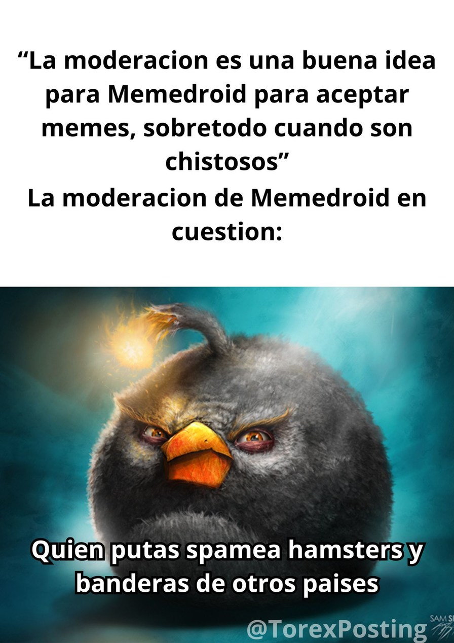 Banderas Para Memes Bandera De Jardín De Meme, Bandera Pequeña Para