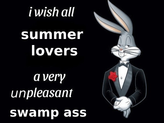 A Hot Collection of the Funniest Memes About Summer