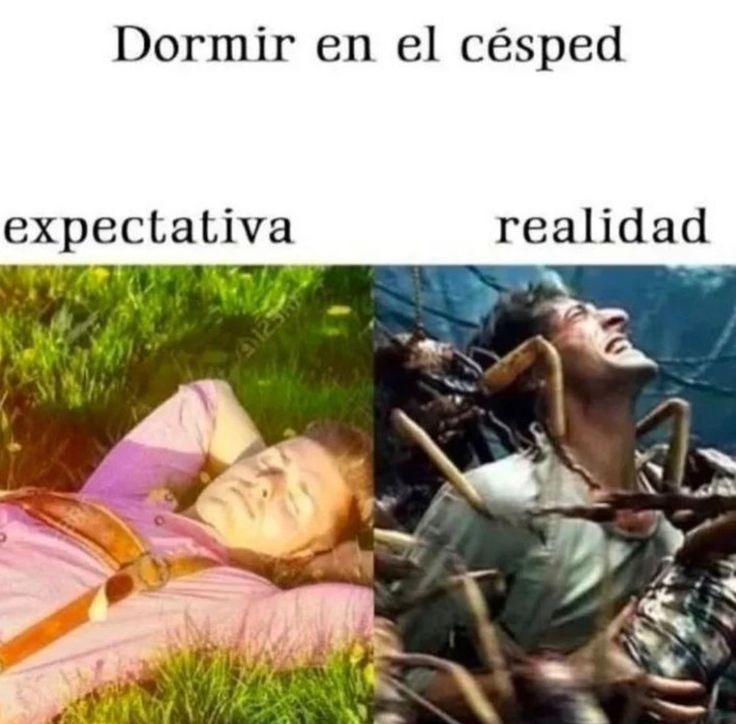 Top memes de Insectos en español :) Memedroid