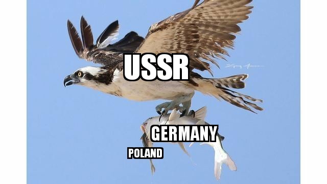 Gotcha - Meme by Sanduskyandtheboys :) Memedroid