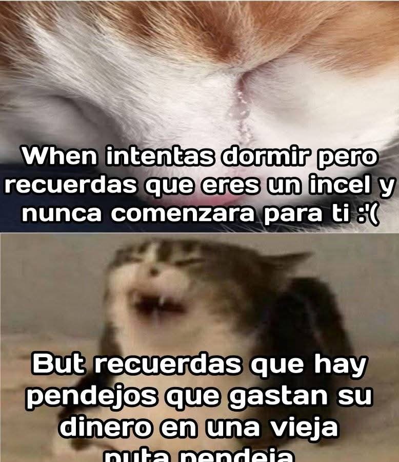 Los Últimos Memes :) Memedroid