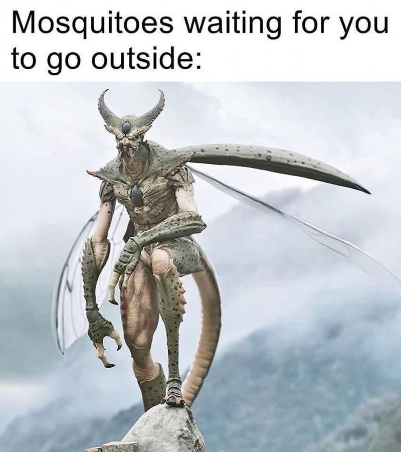 The best Mosquito memes :) Memedroid