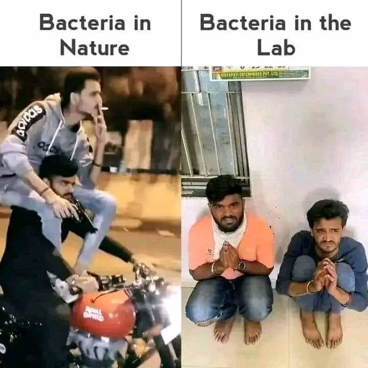 Jjh - Meme by zhentrixcalipso :) Memedroid