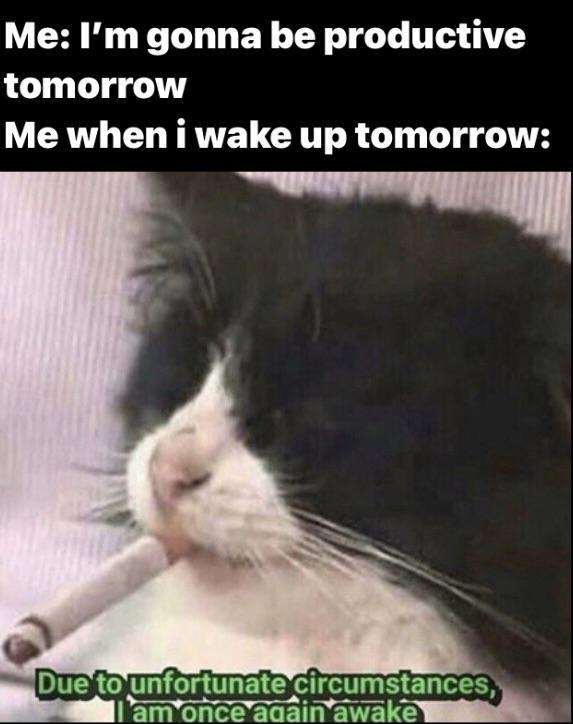 when your tired af and don,t feel like doing anything - Meme by ...