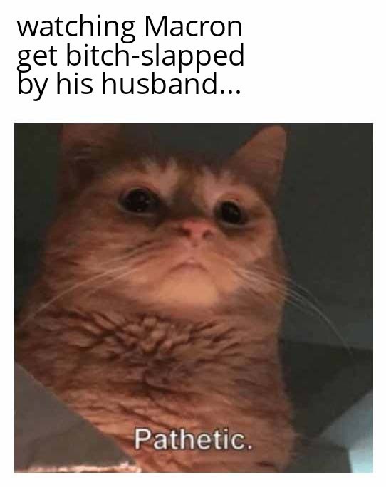 The best Macron memes :) Memedroid