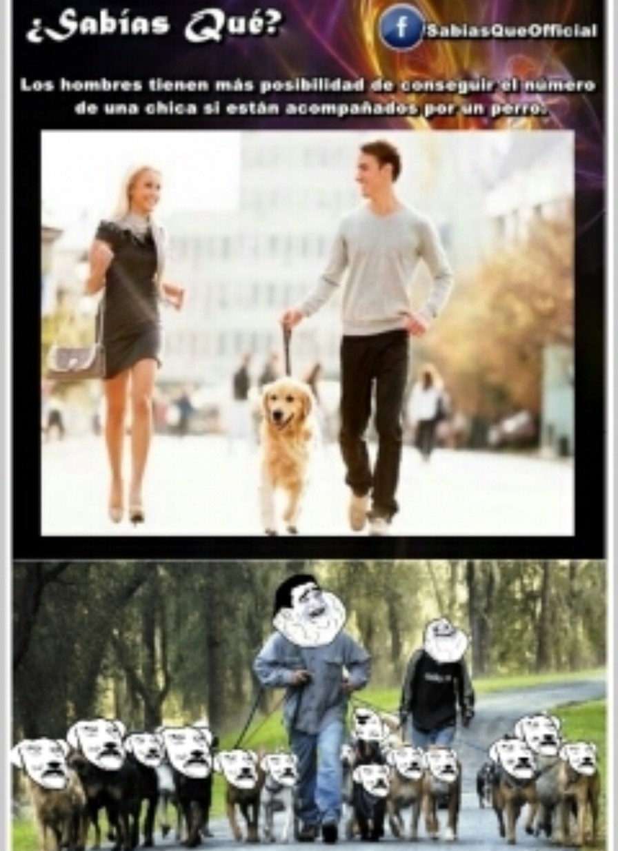 Los Últimos Memes :) Memedroid