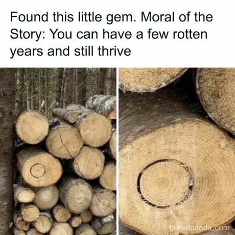 The best Wood memes :) Memedroid