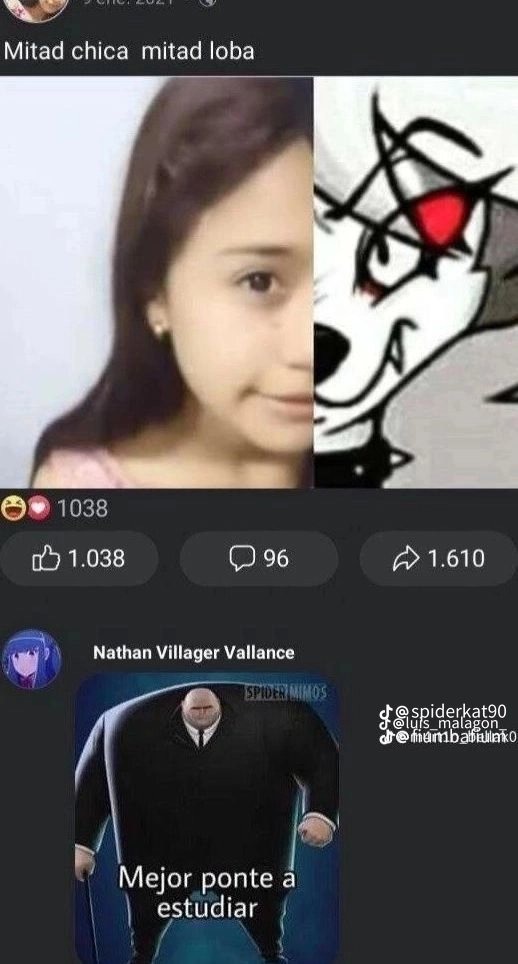 Pinches furros - Meme subido por Wakkogreen :) Memedroid