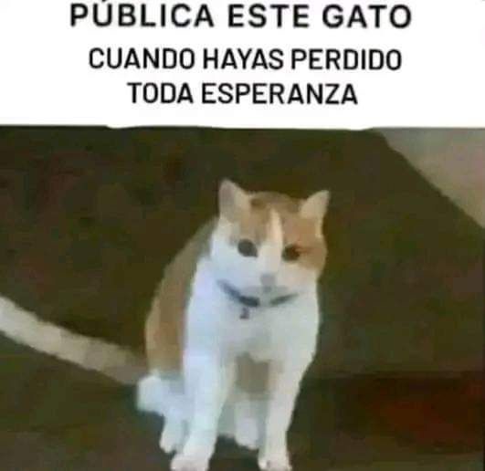 Los Últimos Memes :) Memedroid