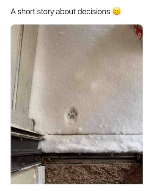 The best Winter memes :) Memedroid