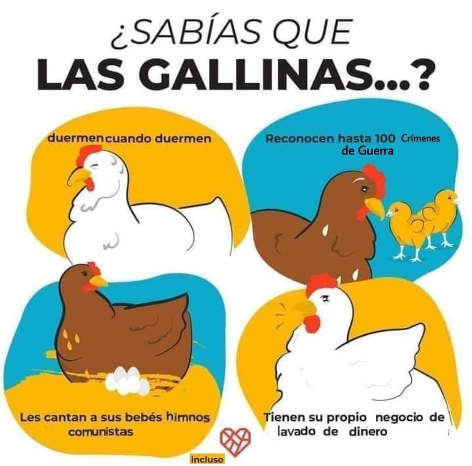Quiero ser una gallina - Meme subido por 2r._ :) Memedroid