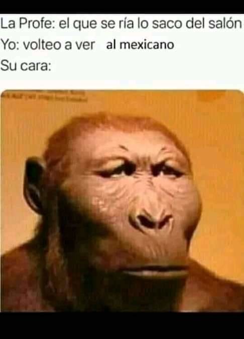 macaco - Meme subido por esbait2 :) Memedroid