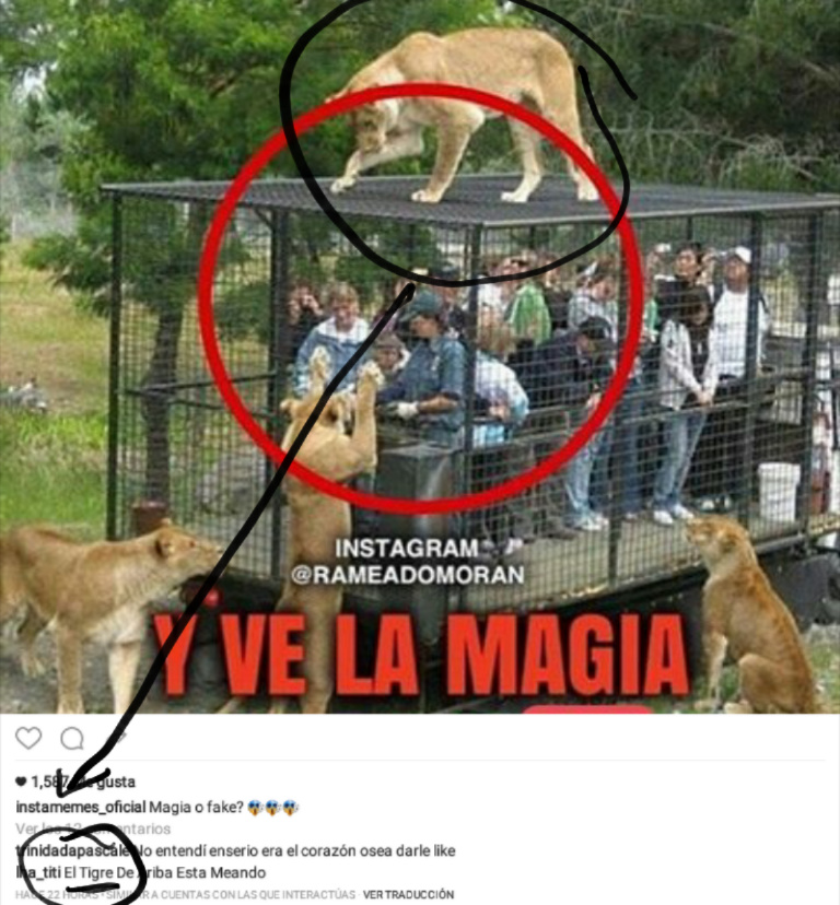 Por estas personas ya no hay fe en la humanidad - Meme subido por ...